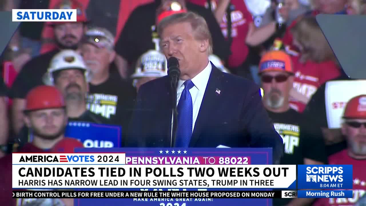 Trump works fry station, holds drive-thru news conference at PA McDonald's