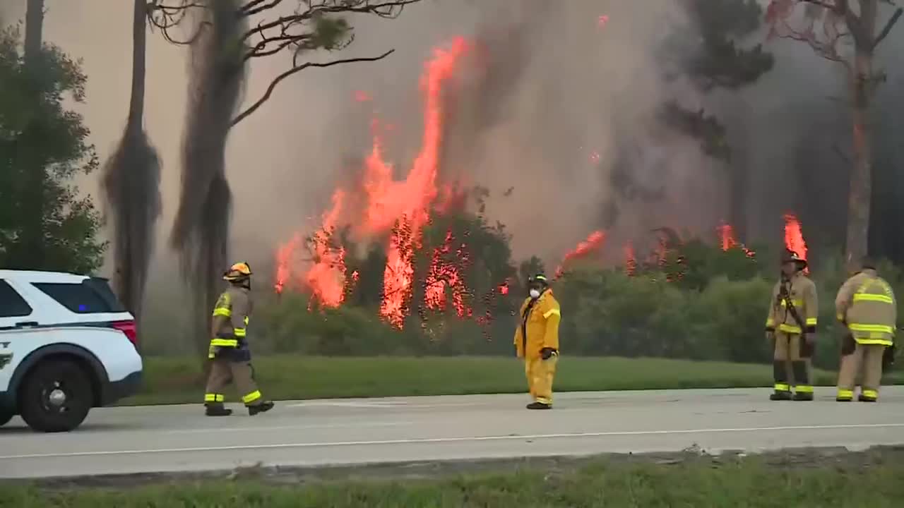 Crews battle brush fire near Stuart West community in Palm City