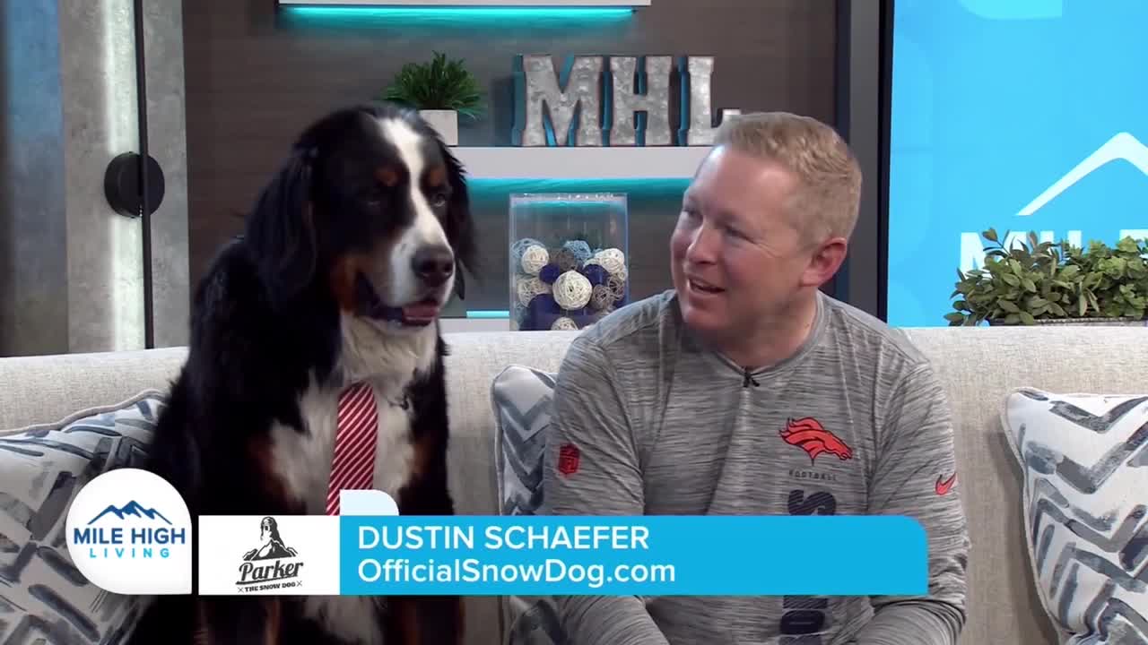 Parker the Snow Dog, Loveland Ski mascot and Georgetown's honorary ...