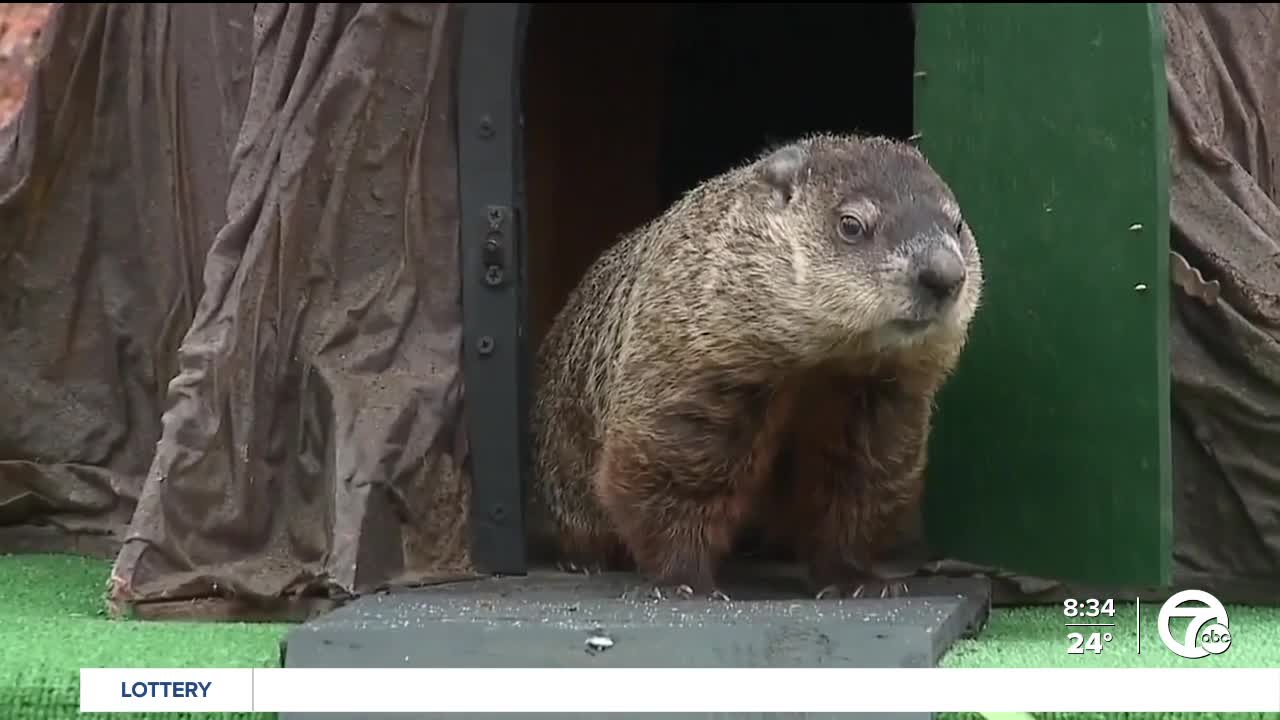 Michigan's official groundhog predicts spring is on it's way