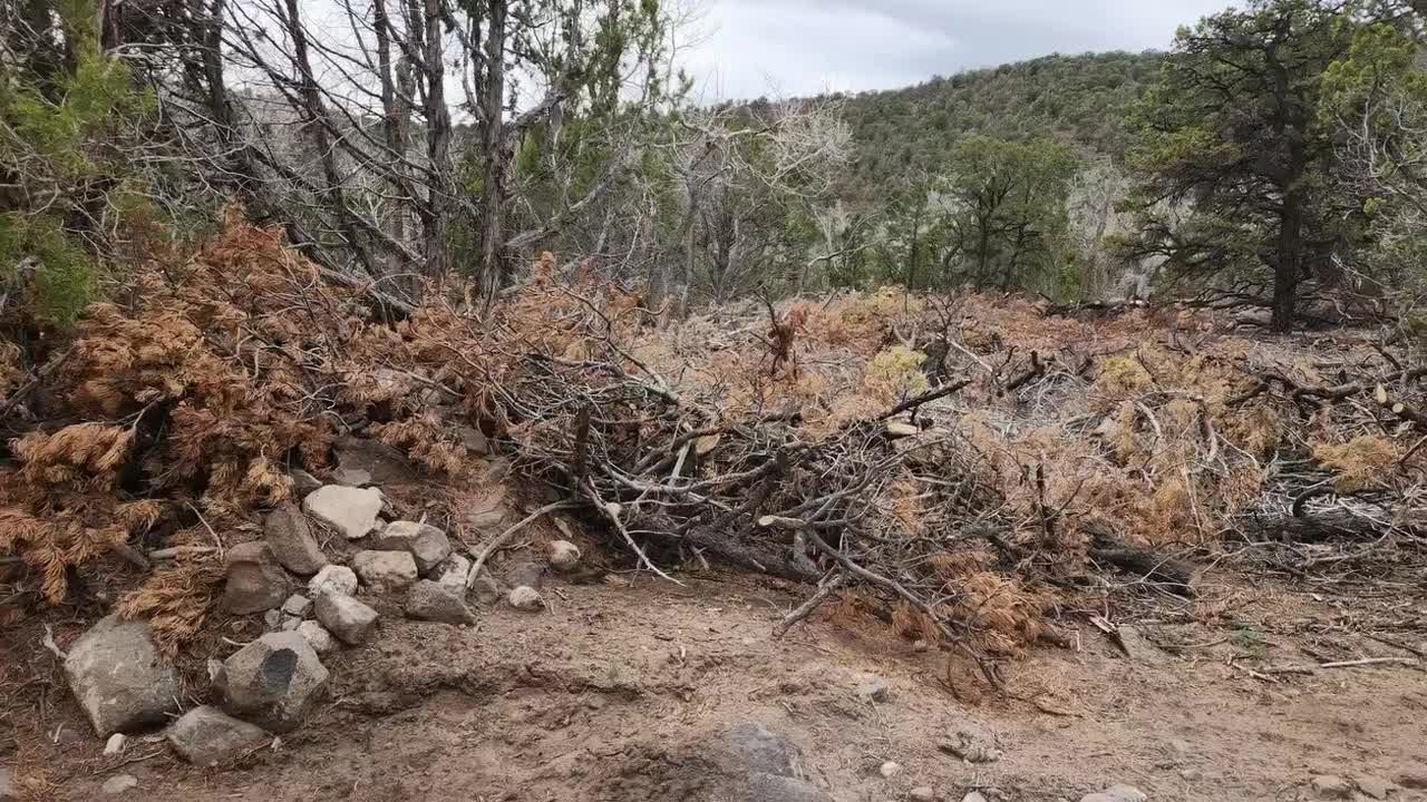 Emery County couple raises concern about fire mitigation work