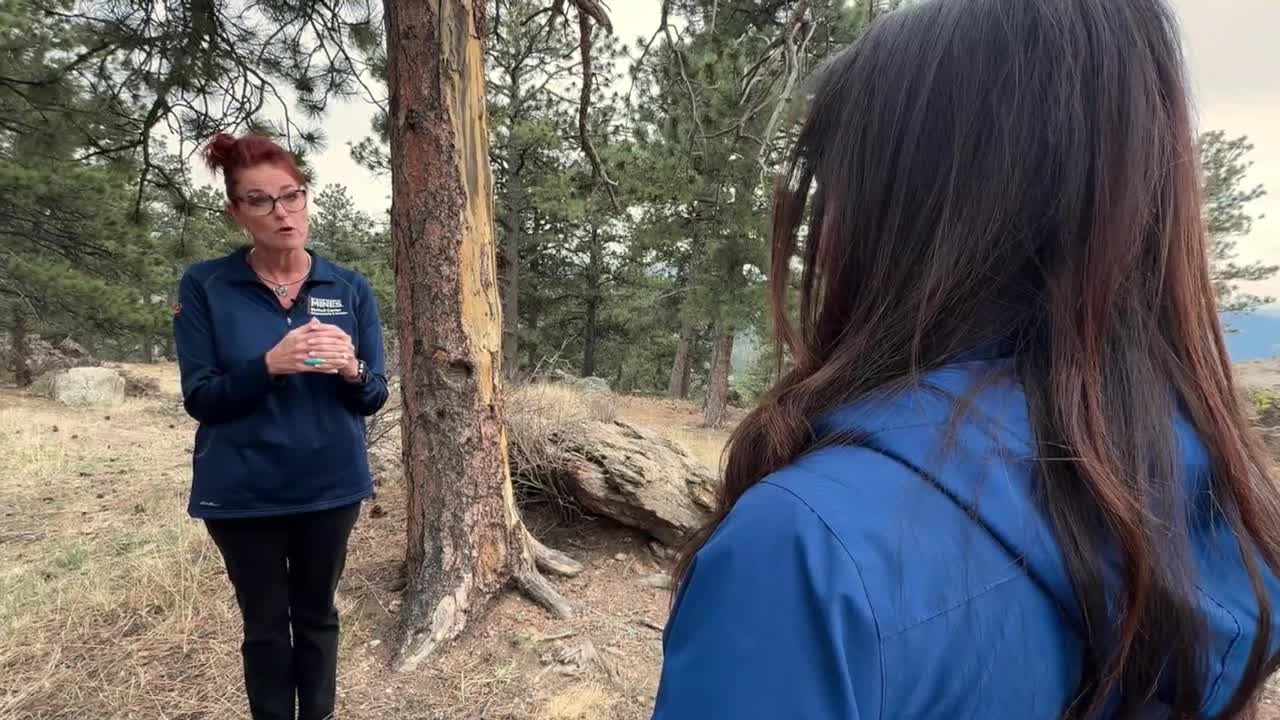 Judge rules that CO makes it too hard to close primaries to ...