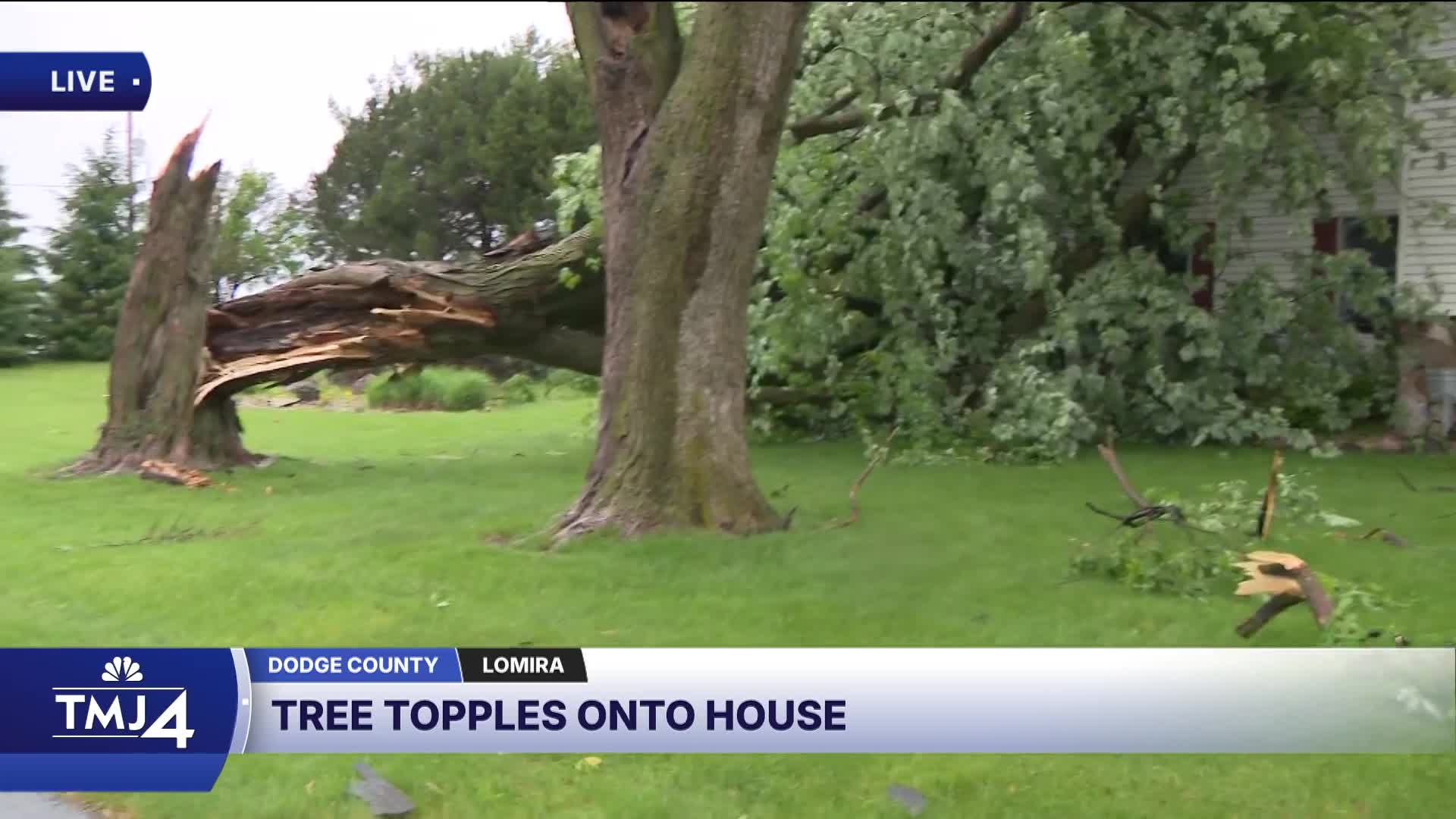 Lomira community rallies to help after storm topples massive tree onto home