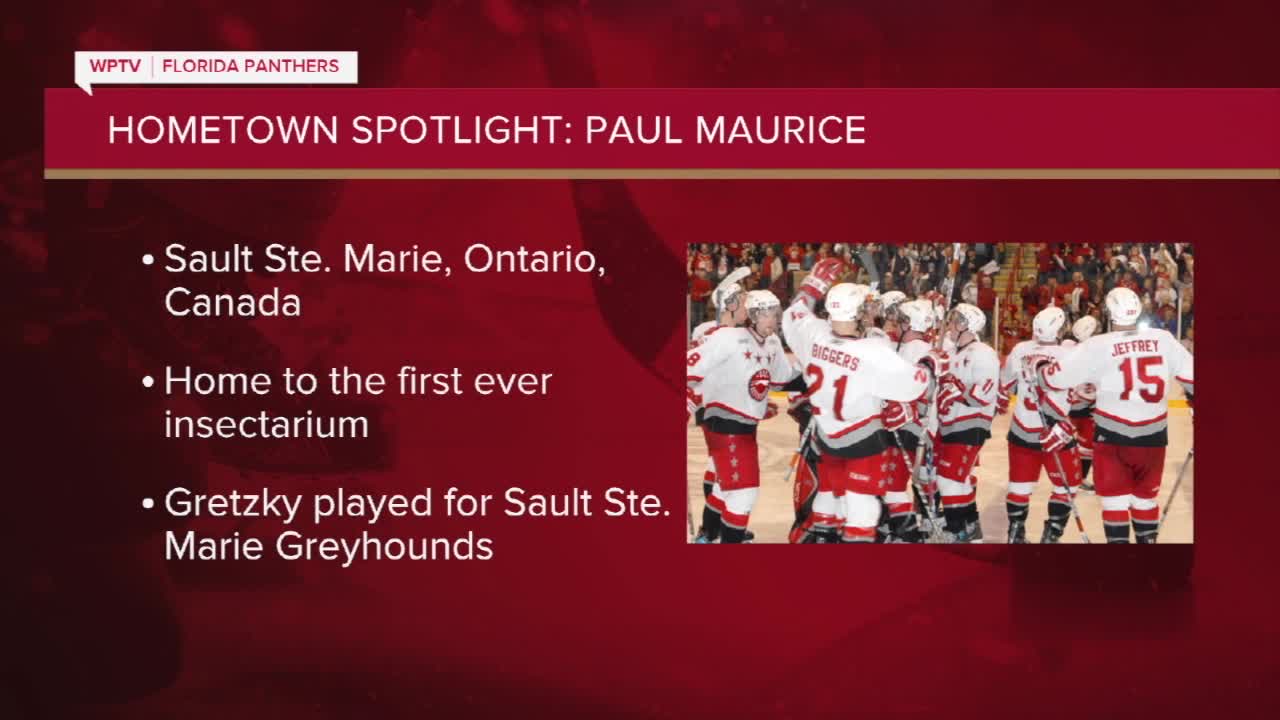 Florida Panthers News & Panthers 360 | WPTV