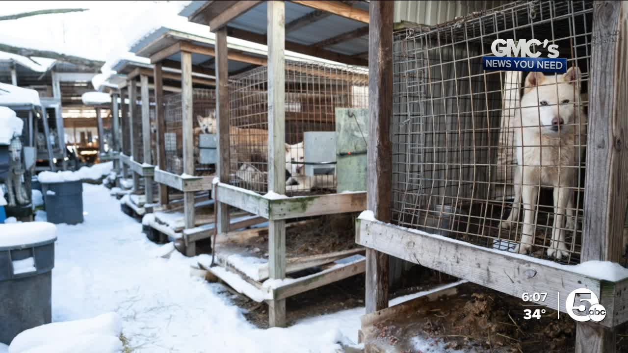 Hundreds of animals rescued from Ashtabula fur and urine farm