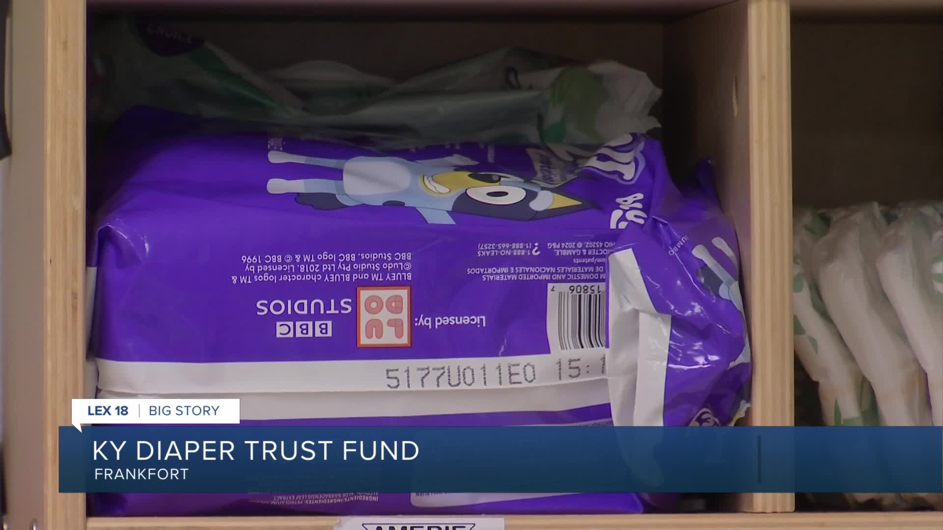 KY lawmakers propose bipartisan diaper trust fund to help struggling ...