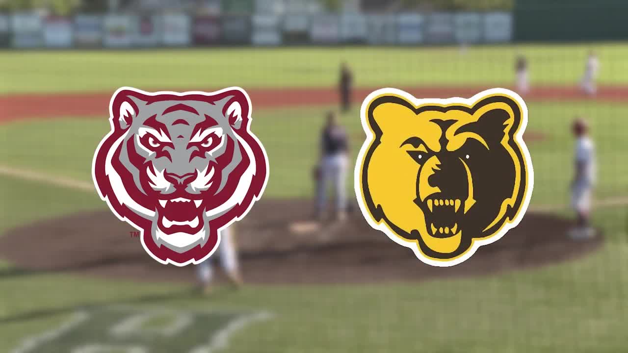 Helena group expects to raise $115k to fund high school baseball programs