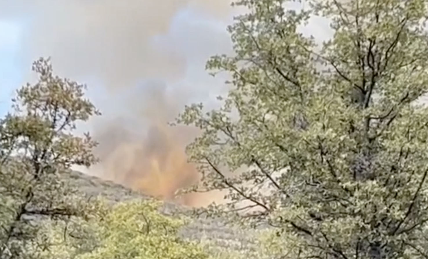 Brady Fire: Evacuation status downgraded to 'READY' for Pine Flat area