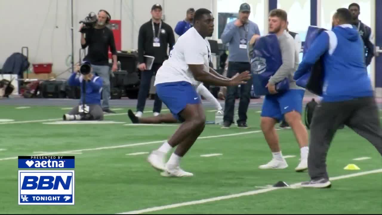 Two Cats enter the transfer portal