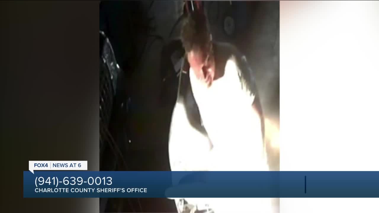 Southwest Florida Fire, Naples fires, Collier County Fires | Fox 4 News ...