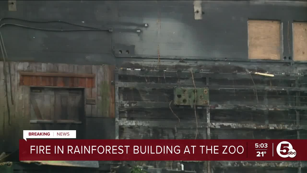 Fire breaks out at Cleveland Metroparks Zoo Rainforest