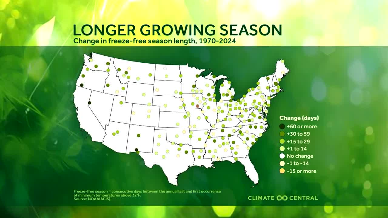 Murder charges filed against Kai-Ji Adam Lo, suspect in ramming attack ...