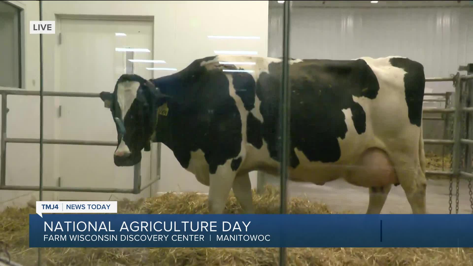 How 'Farm Wisconsin' in Manitowoc highlights Wisconsin’s agriculture ...