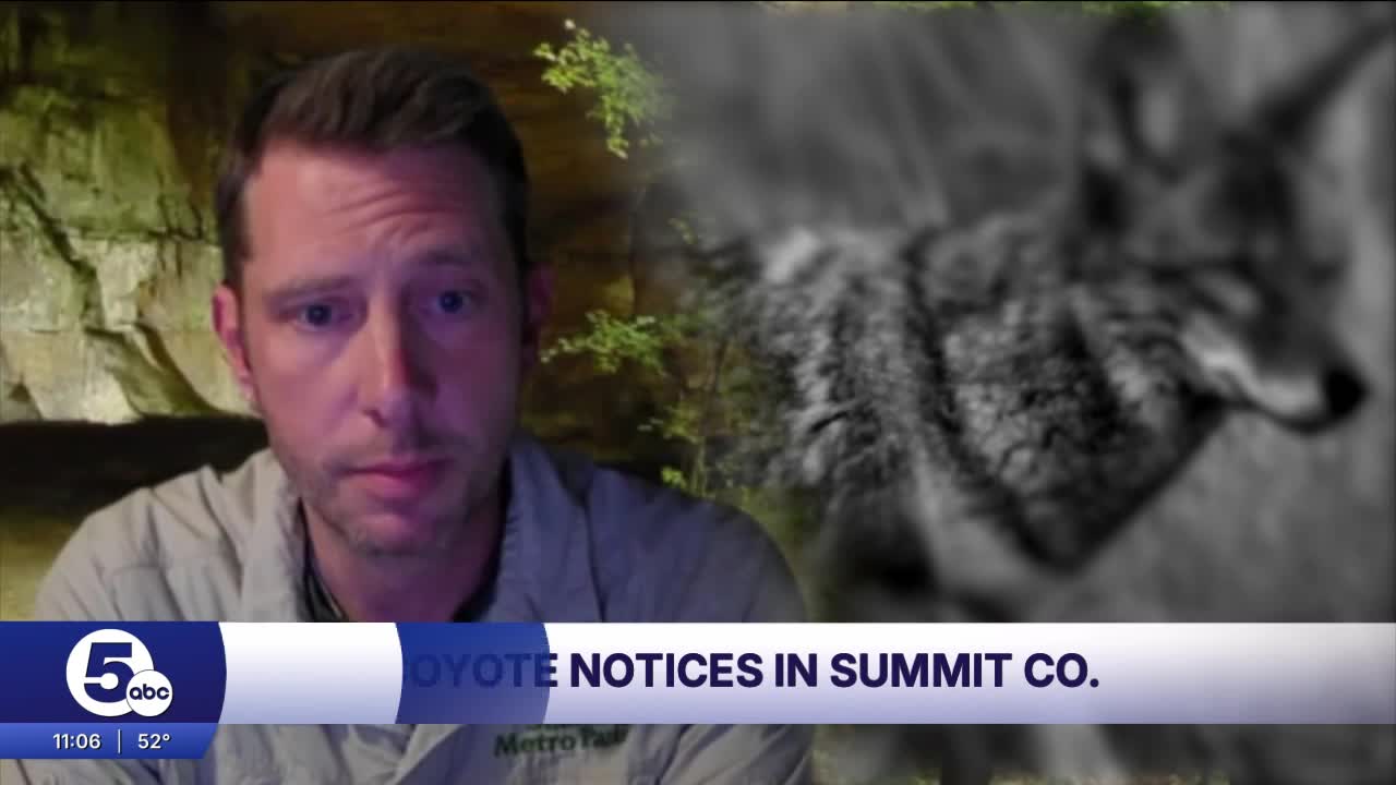 Signs posted at Firestone Metro Park after coyote den found near ...